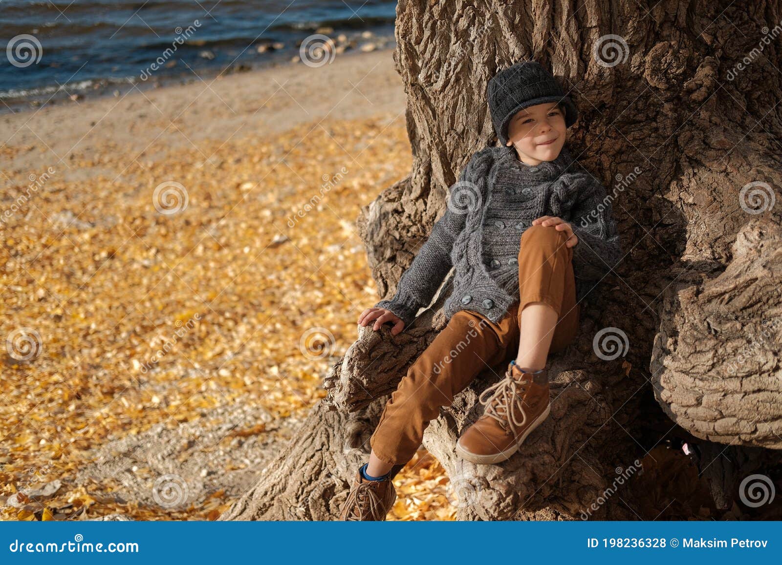 Happy Boy Sitting on the Tree at the Beach Stock Photo - Image of ...