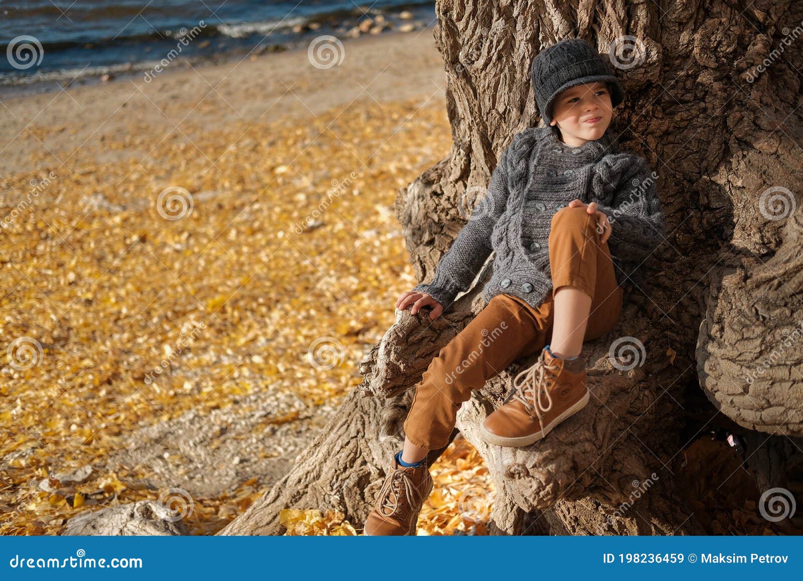 Boy Sitting on the Tree at the Beach Stock Image - Image of park ...