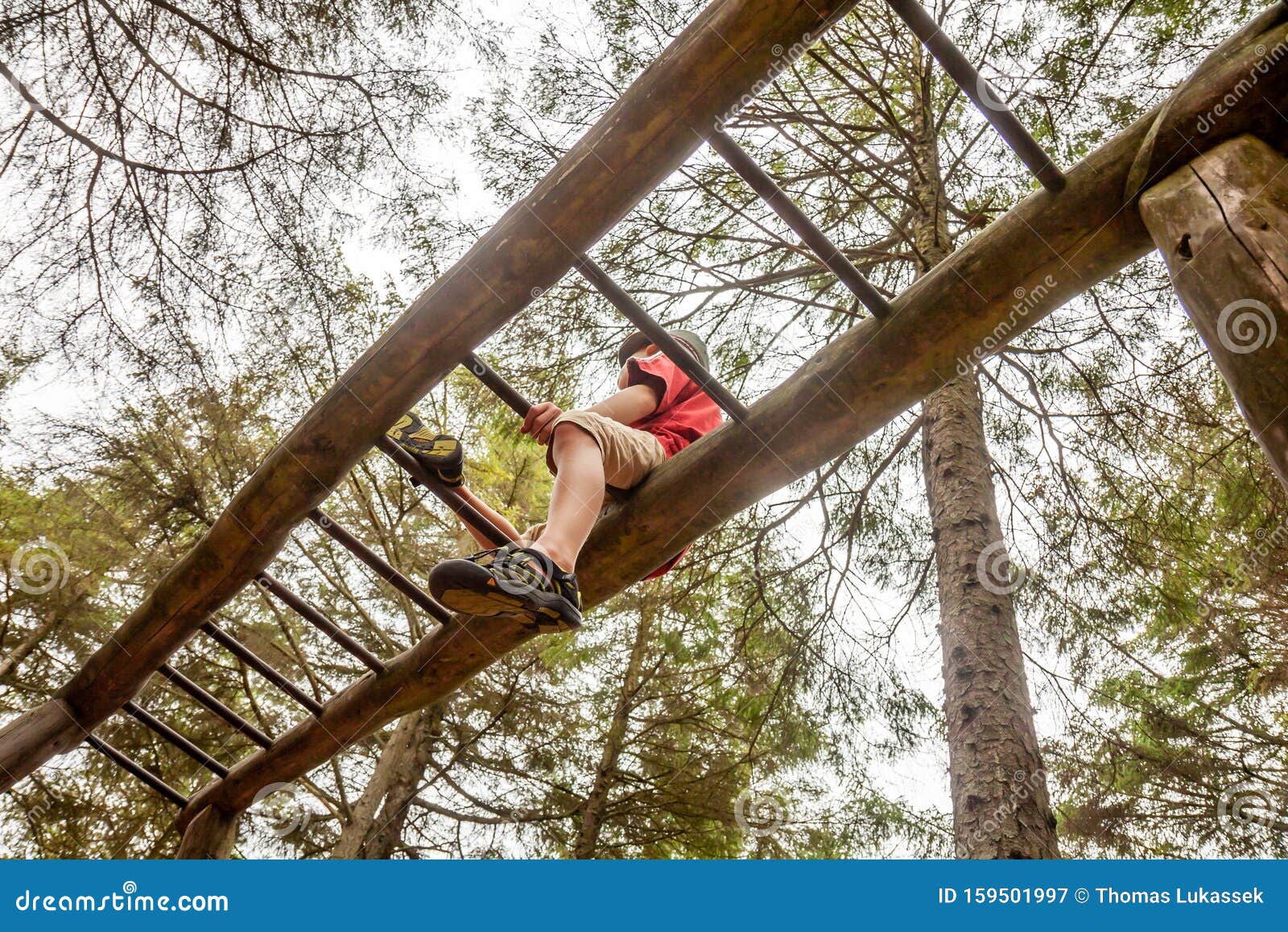 Ladder In Forest Royalty-Free Stock Photo | CartoonDealer.com #159547803