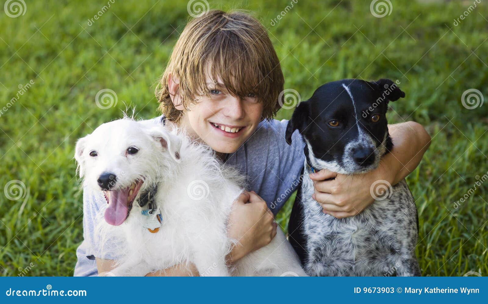 Happy Boy and his dogs stock image. Image of friend, dogs - 9673903