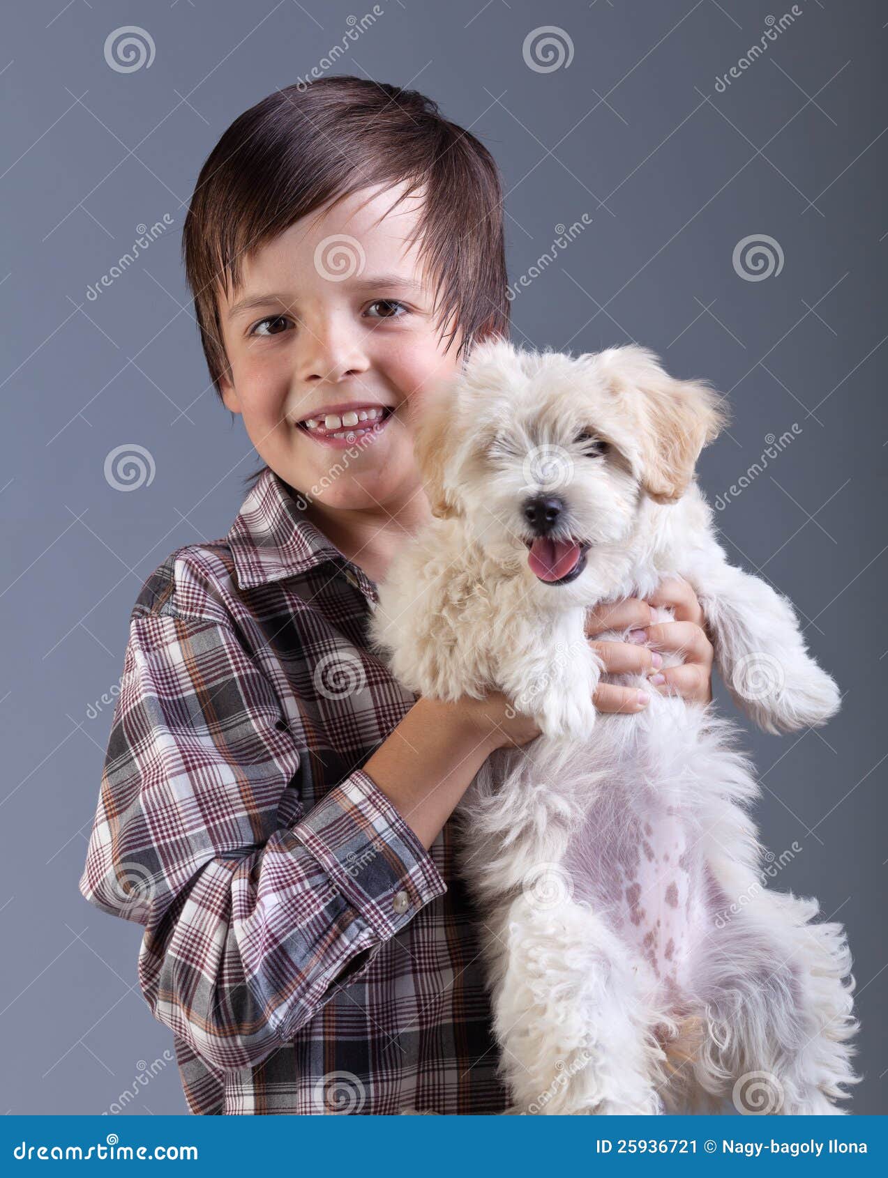 Happy Boy Holding His Fluffy Dog Stock Image - Image of hold ...