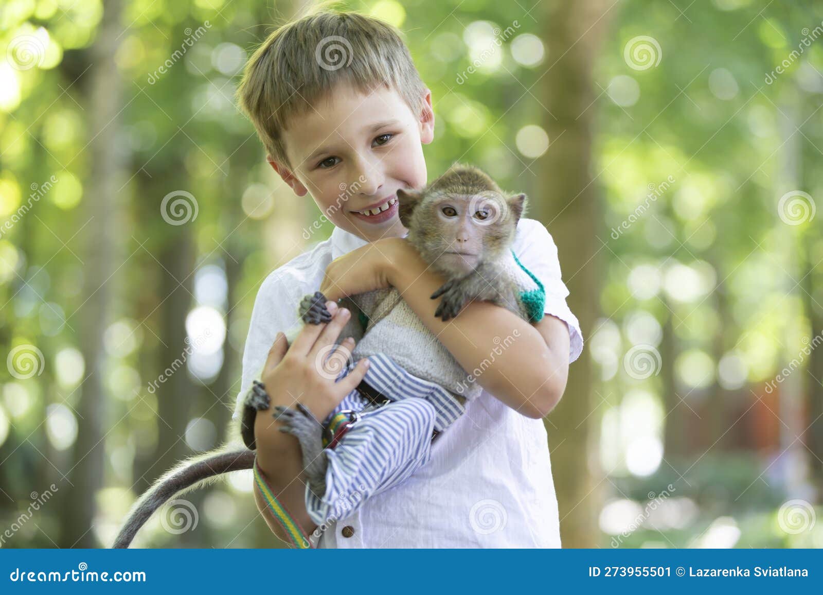 A Happy Boy Holds a Little Monkey Stock Image - Image of child, female ...
