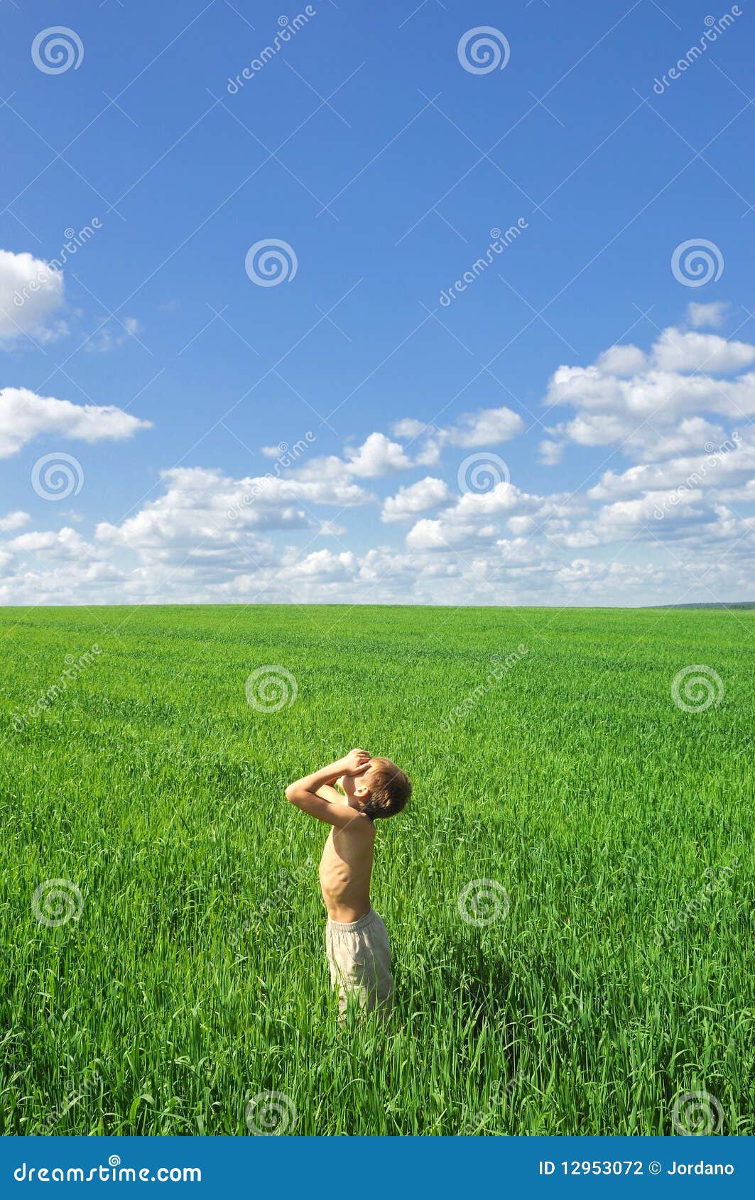 Happy Boy Looking To the Sun on Green Field Stock Photo - Image of ...