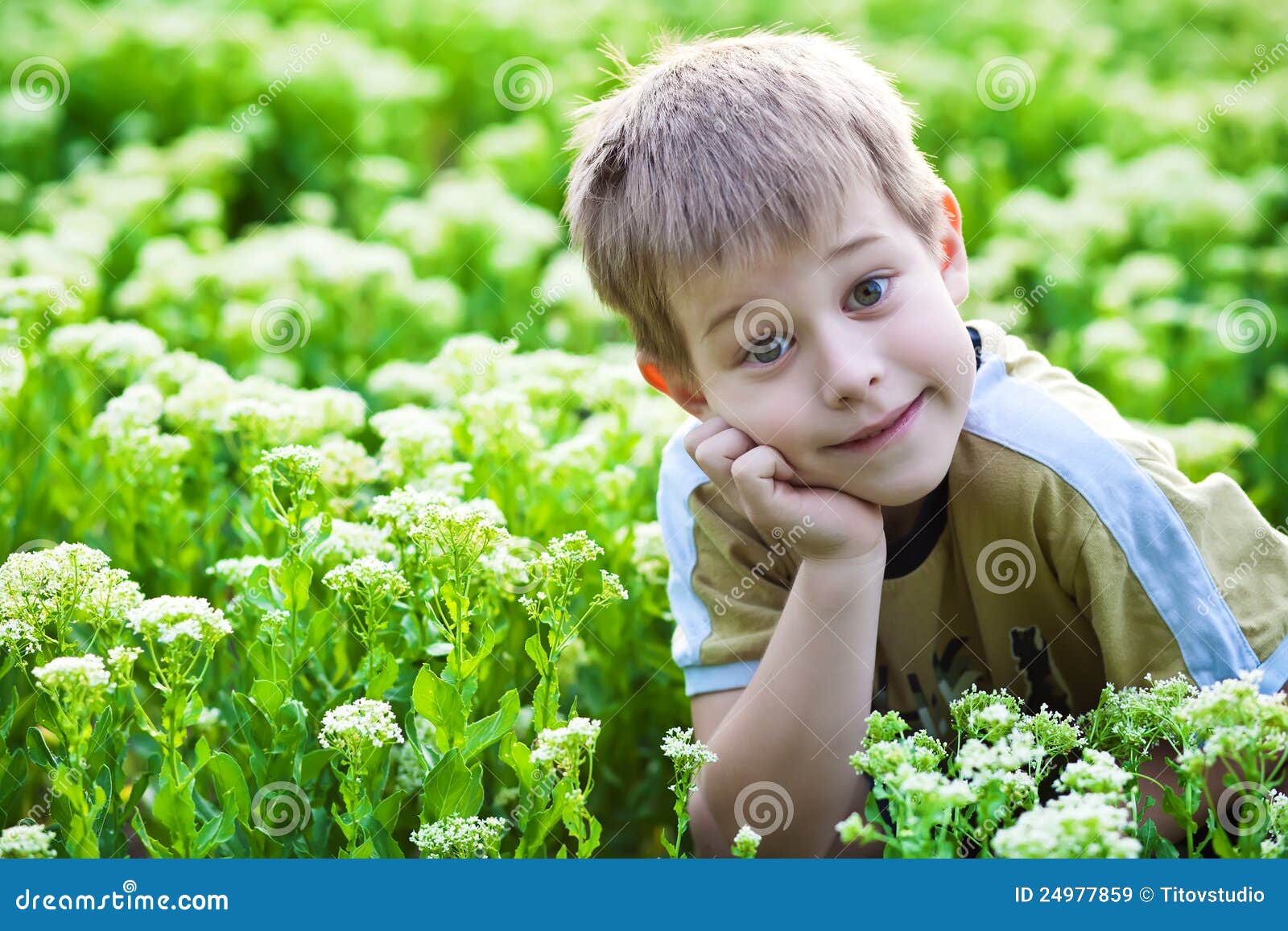 Happy Boy Lying in the Green Grass Stock Image - Image of summer, grass ...