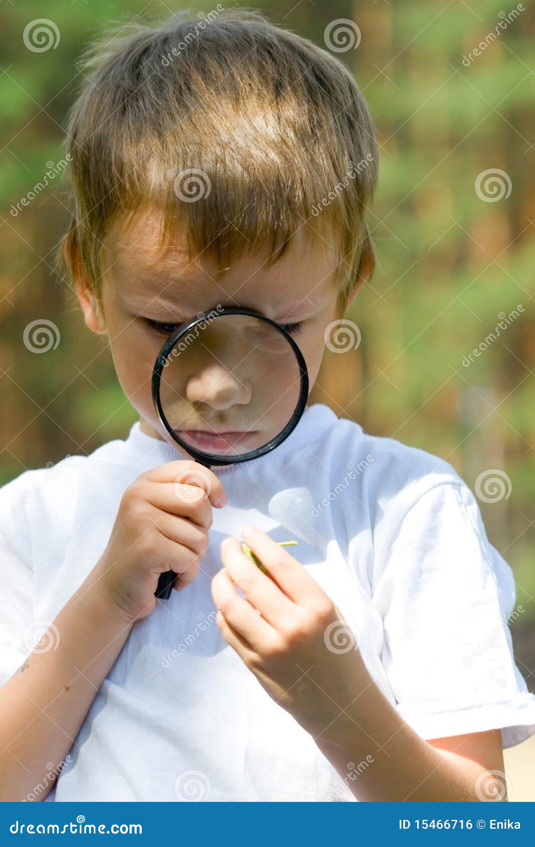 Happy Boy with a Magnifying Glass Stock Photo - Image of acorn ...