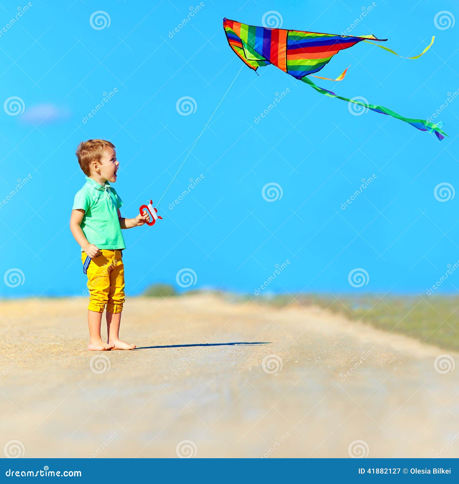 Happy Boy Playing with Kite on Summer Field Stock Image - Image of ...