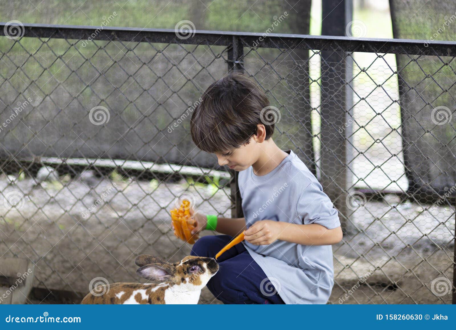 Happy Boy Playing with Rabbit Stock Photo - Image of park, caucasian ...
