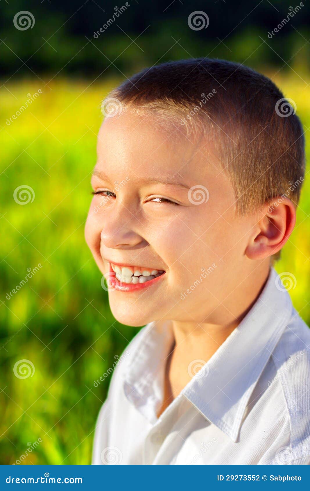Happy Boy Portrait stock photo. Image of cheerful, beautiful - 29273552