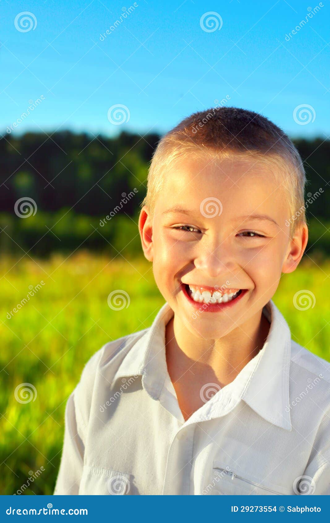 Happy Boy Portrait stock photo. Image of caucasian, little - 29273554