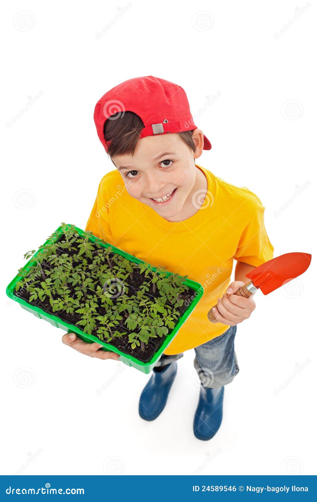 Happy Boy Ready To Plant Spring Seedlings Stock Photos - Free & Royalty ...
