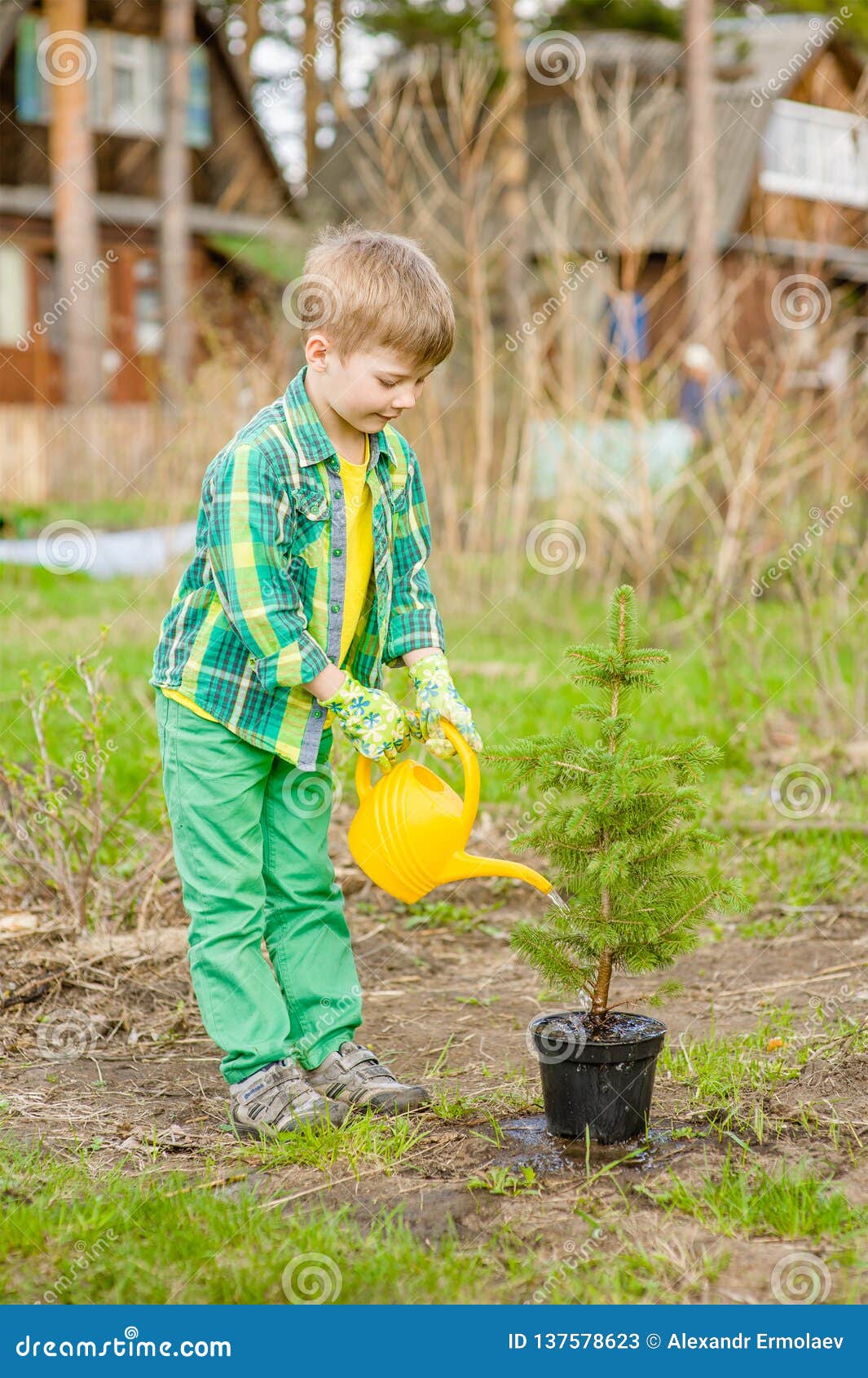 Happy Boy Watering a Sapling Tree Stock Image - Image of life ...