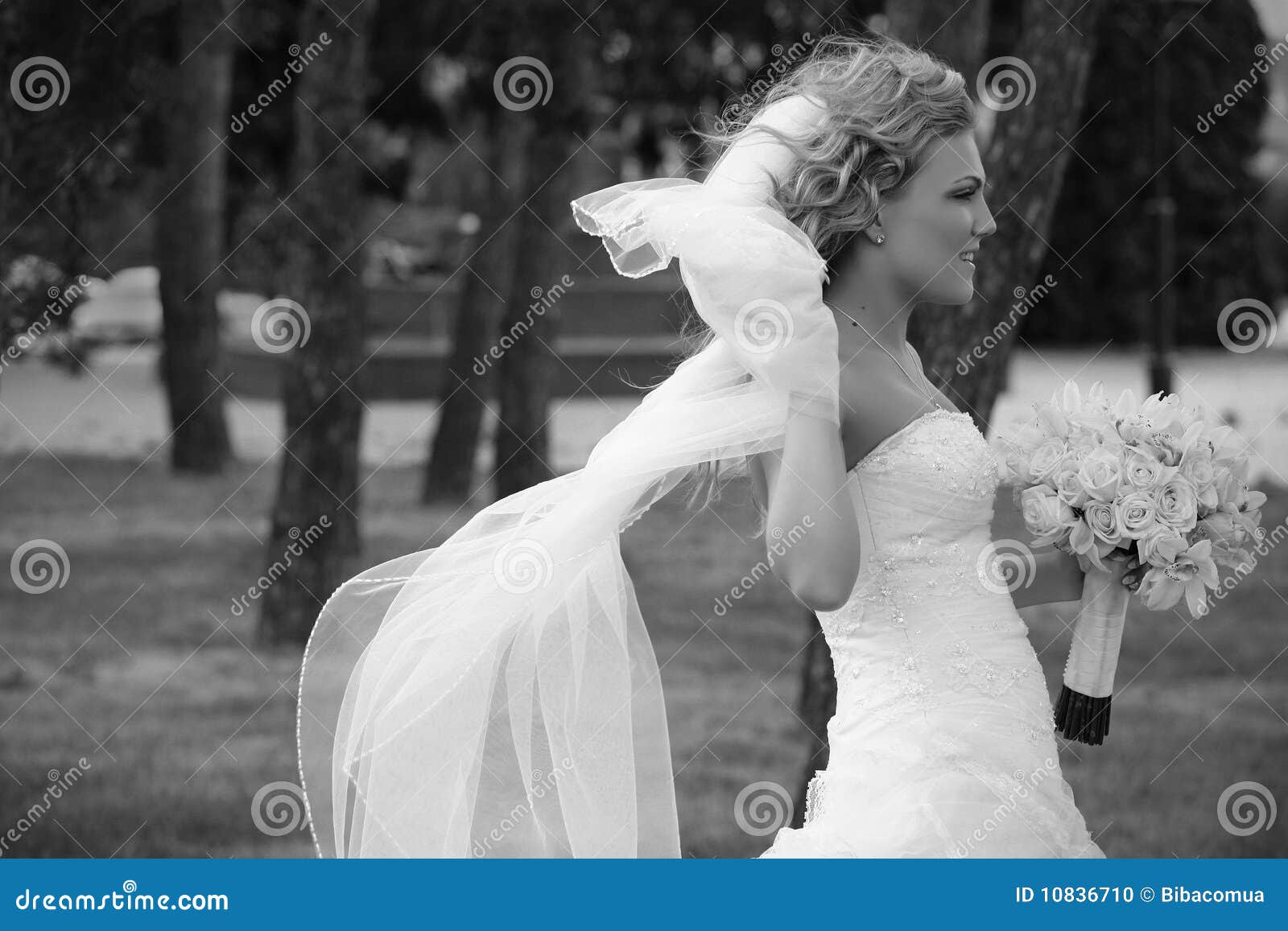 Happy bride stock photo. Image of happiness, nature, profile - 10836710