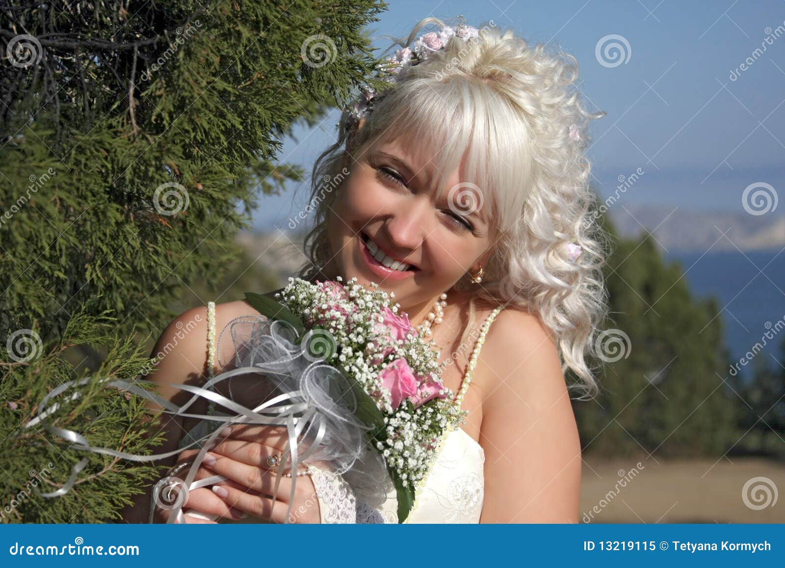 Happy bride stock image. Image of family, hair, beautiful - 13219115