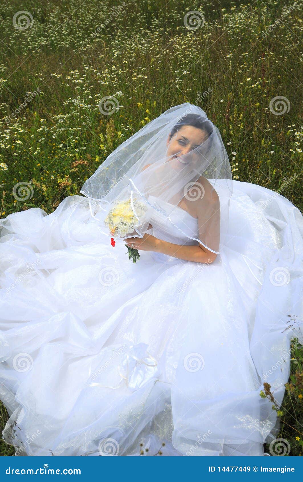 Happy bride stock image. Image of laughing, grass, celebration - 14477449