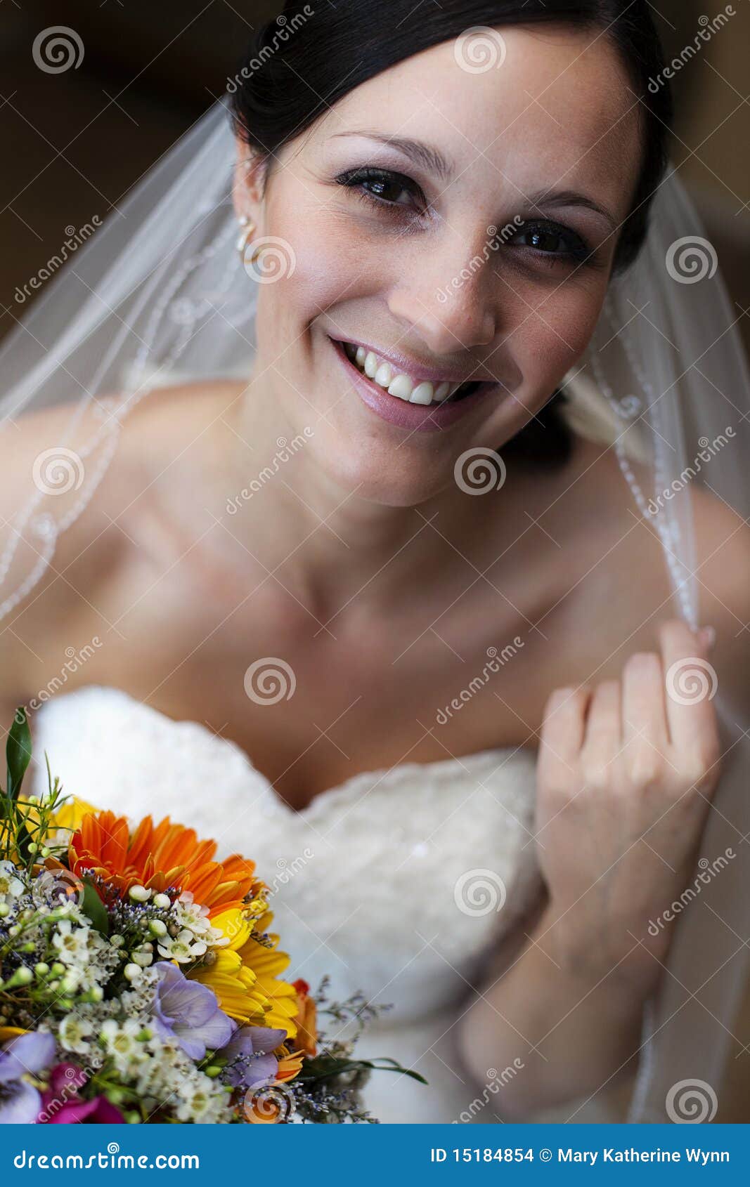 Happy bride stock photo. Image of gown, blissful, bride - 15184854