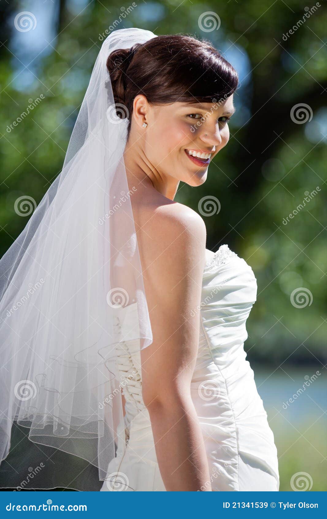 Happy Bride stock image. Image of dress, gown, gorgeous - 21341539