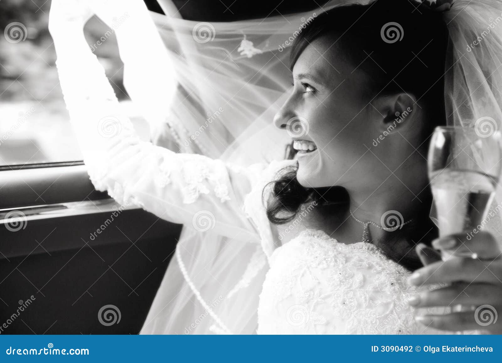 Happy bride stock photo. Image of bridal, bride, dress - 3090492