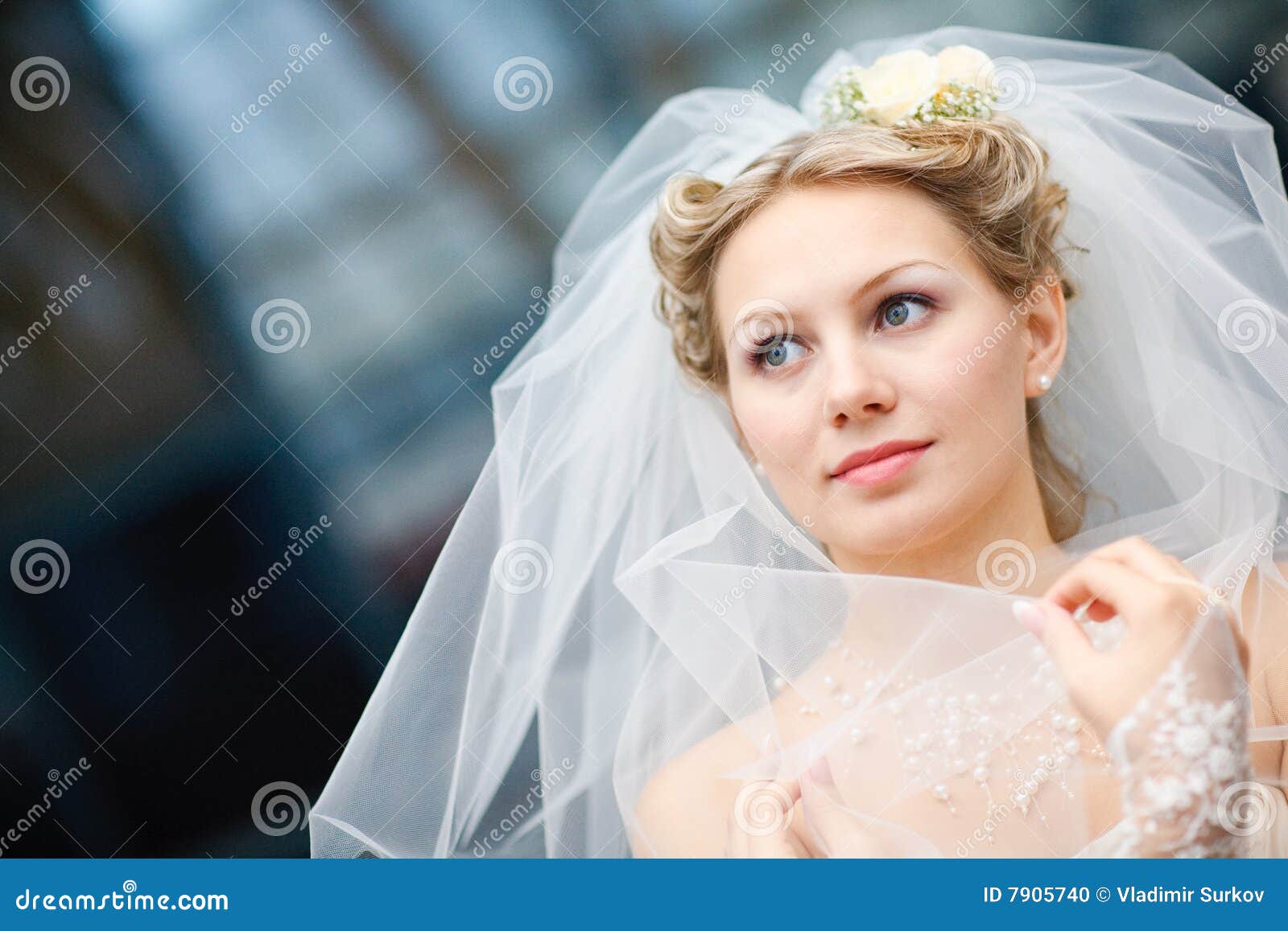 Happy bride stock photo. Image of looking, beauty, eyes - 7905740