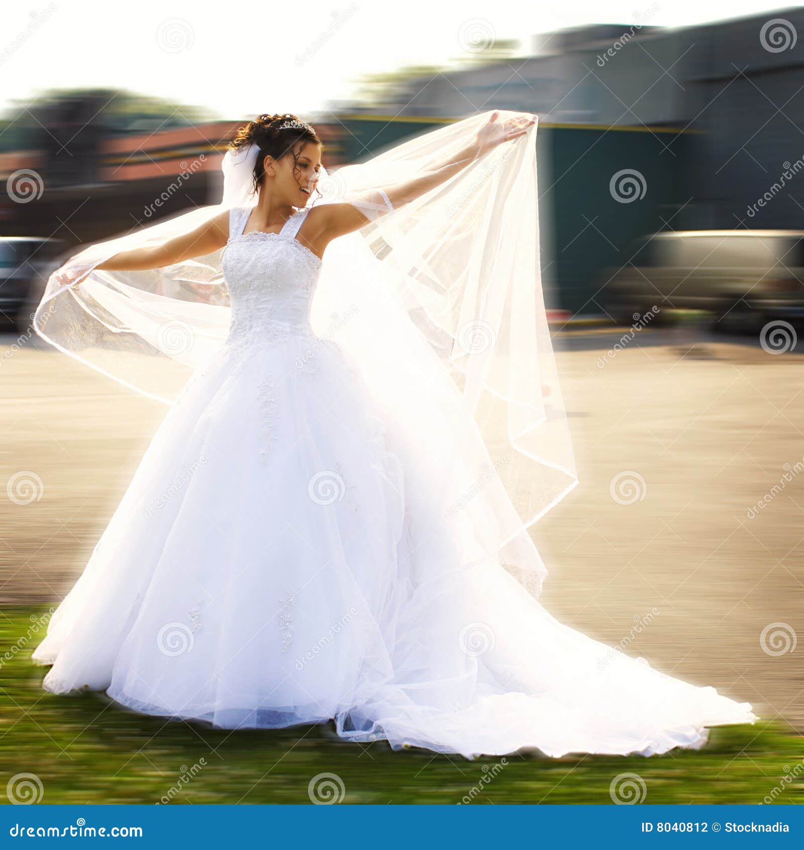 Happy bride stock photo. Image of life, engaged, elation - 8040812
