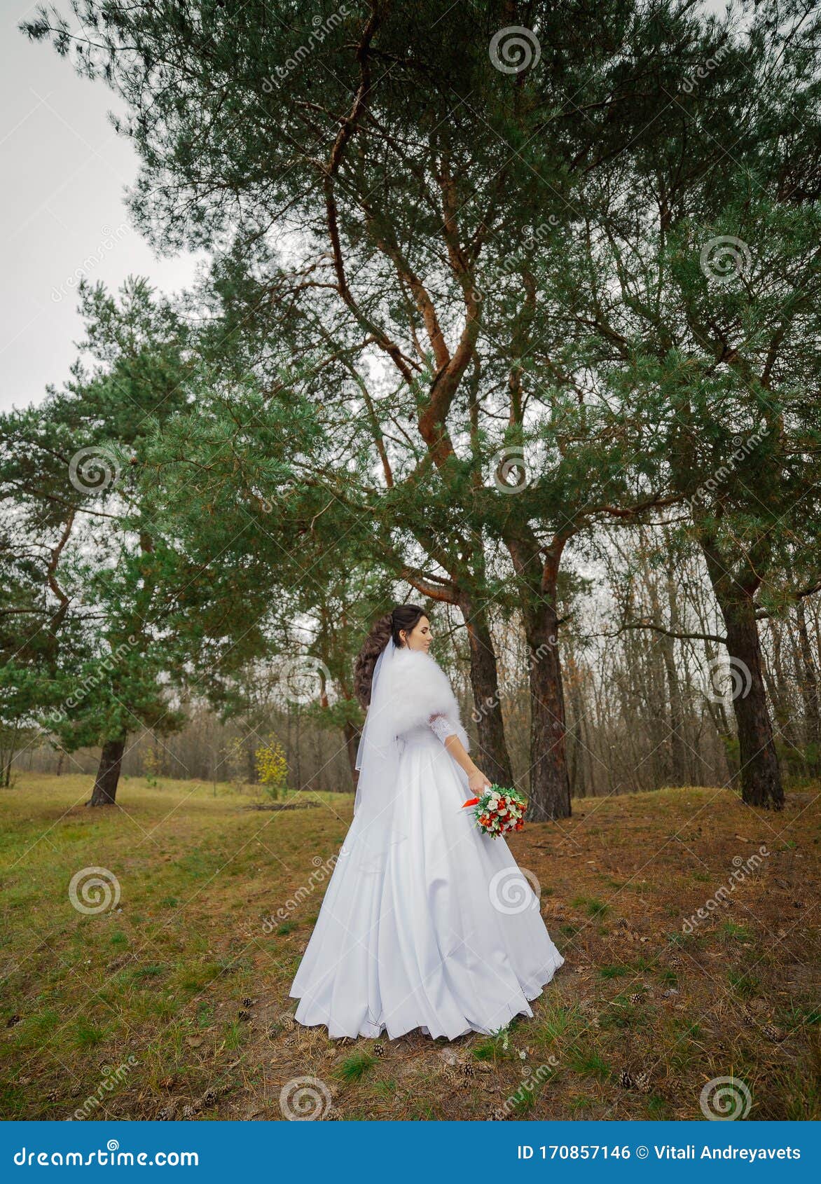 Happy Bride in a Beautiful Wedding Dress Stands by the Pine Tree. Stock ...