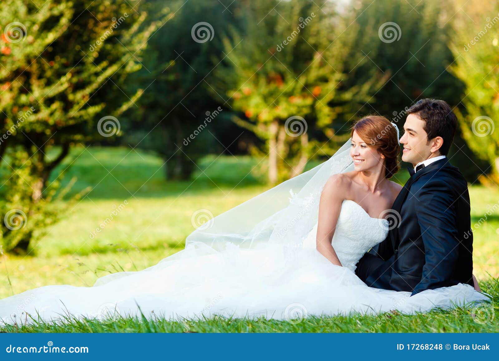 Happy bride and groom stock photo. Image of fashion, love - 17268248