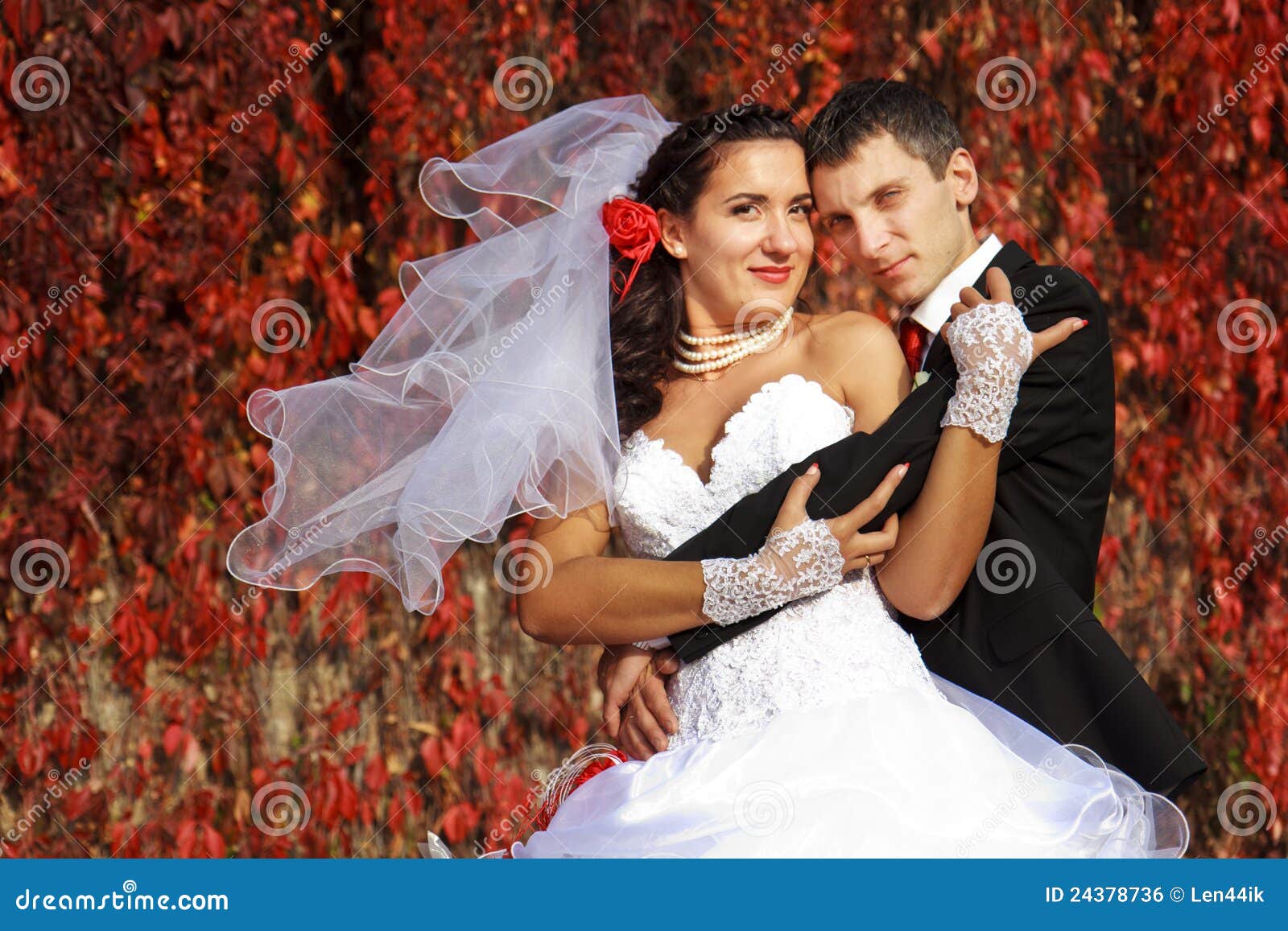 Happy bride and groom stock photo. Image of dressed, couple - 24378736