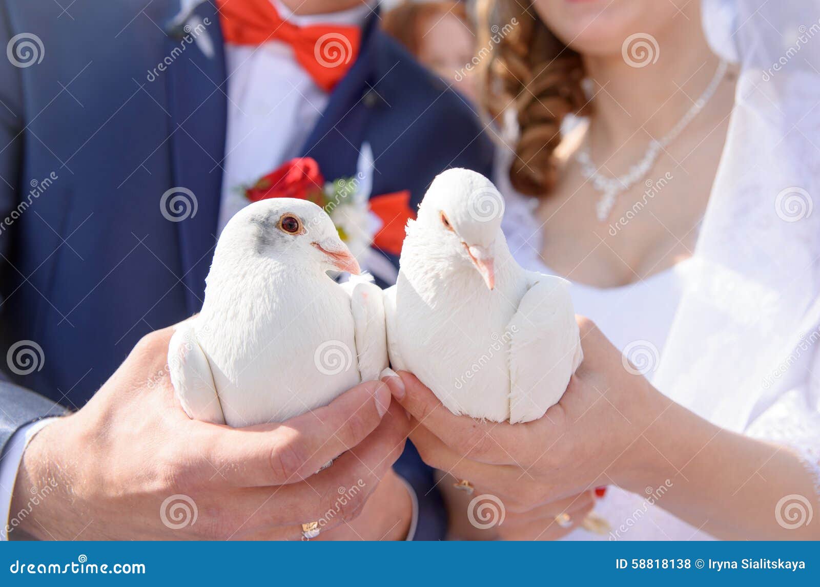 Happy Bride and Groom Holding White Doves in Hands Stock Photo - Image ...