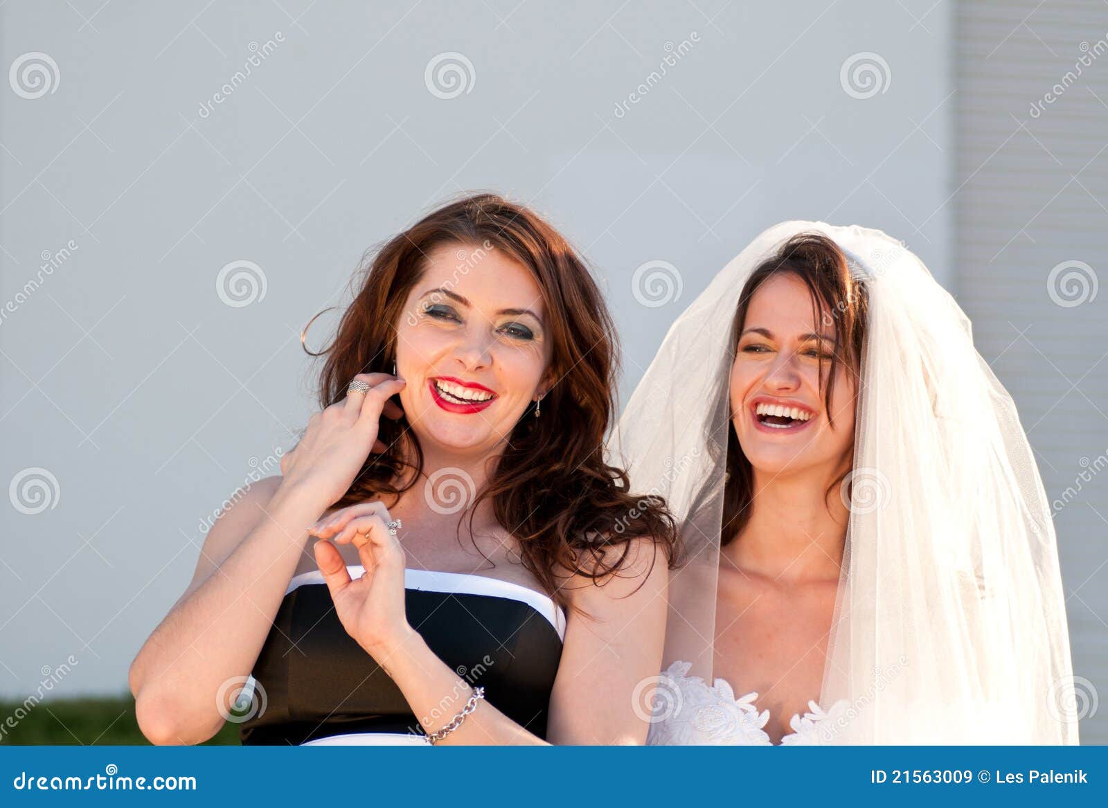 Happy Bride and Her Best Friend Stock Image - Image of maid, bride ...