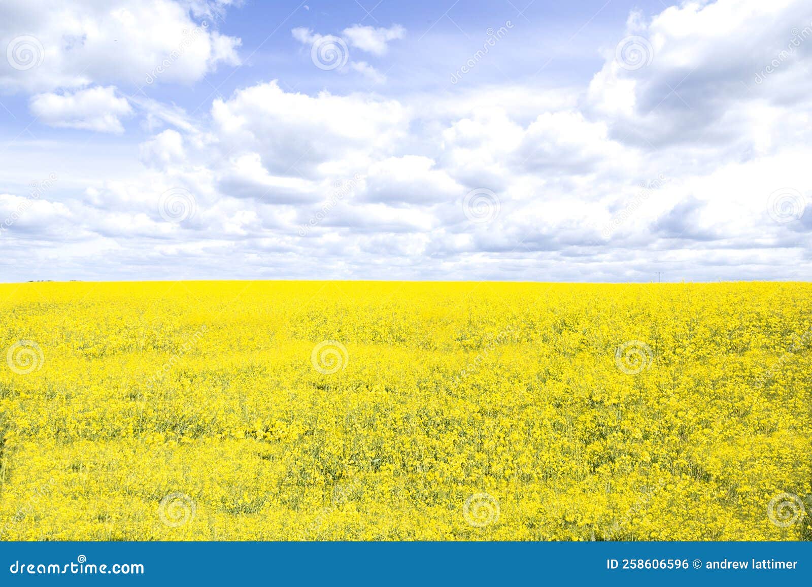 Happy bright feeling stock photo. Image of dreamy, bright - 258606596