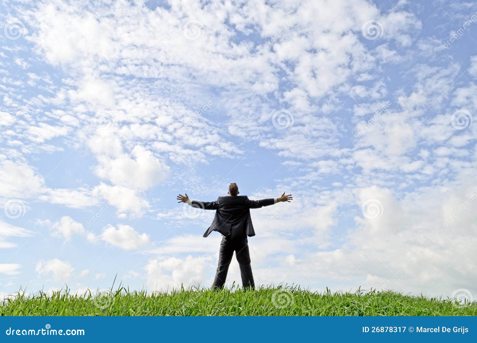 Happy businessman stock image. Image of back, happy, alone - 26878317