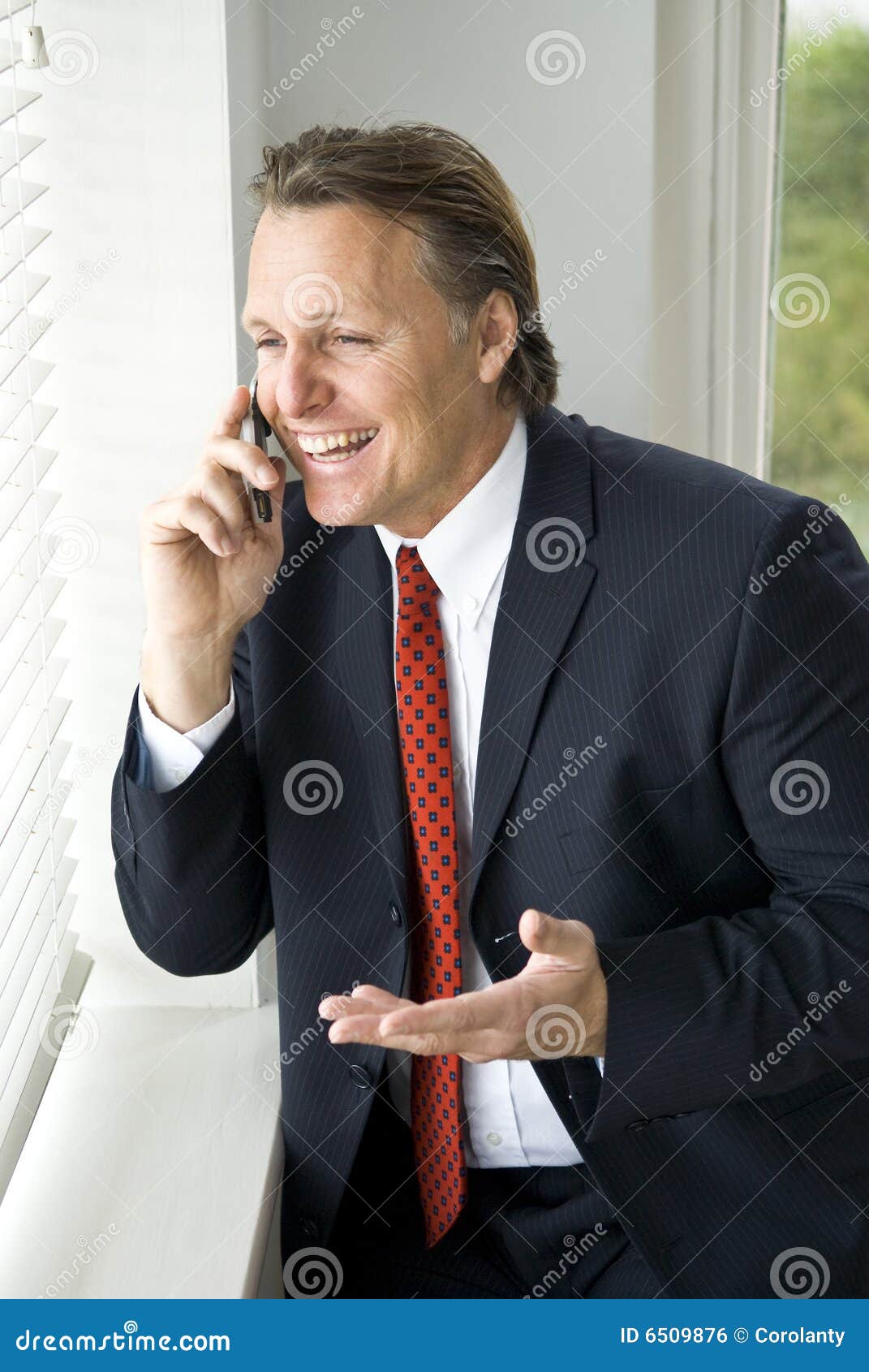 Happy businessman stock photo. Image of gentleman, joking - 6509876