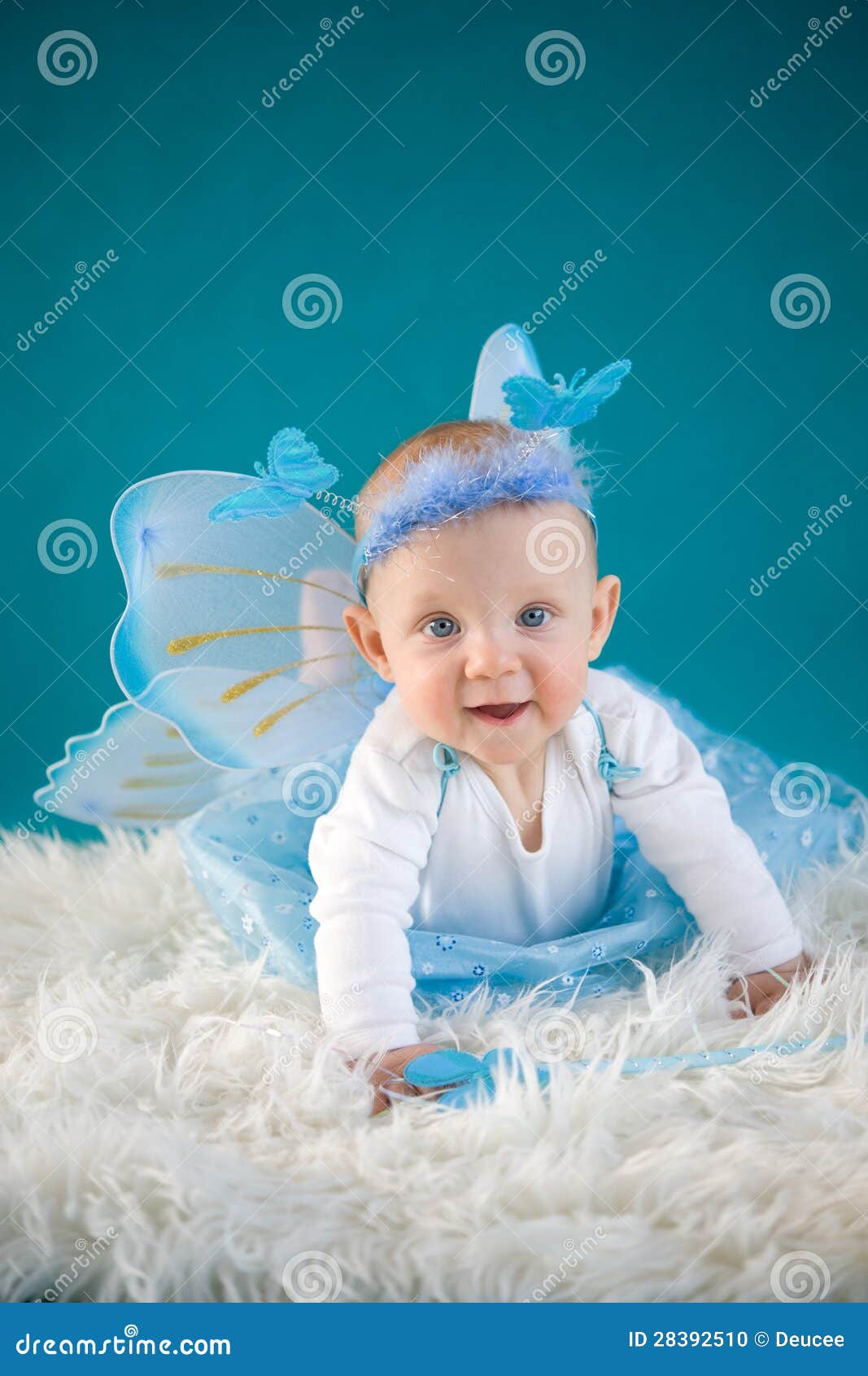 Happy butterfly stock photo. Image of beauty, wing, fairy - 28392510