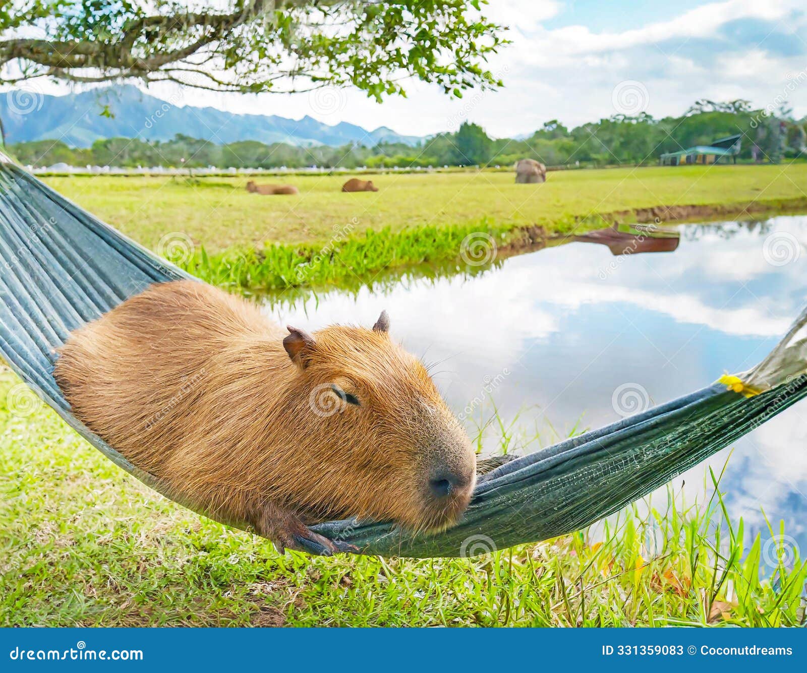 Happy Capybara Family. Cute Capy Mom And Baby. Funny Capibara Mother ...