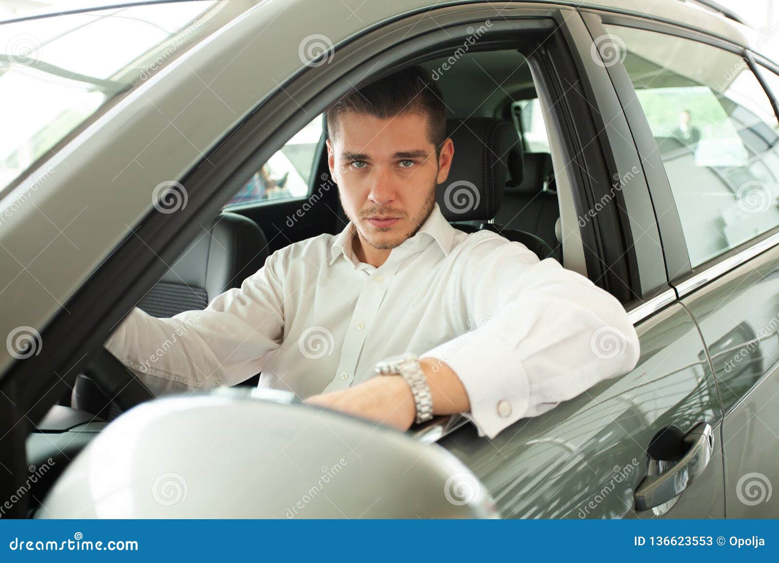Happy Car Owner in His New Car. Stock Image - Image of christmas ...