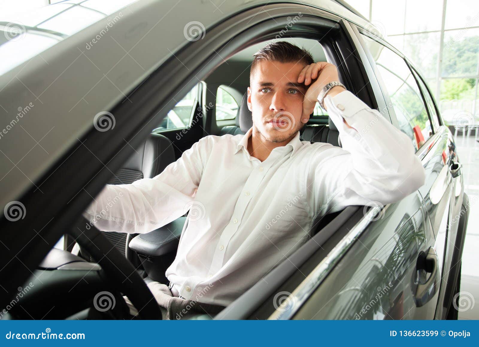 Happy Car Owner in His New Car. Stock Image - Image of caucasian ...