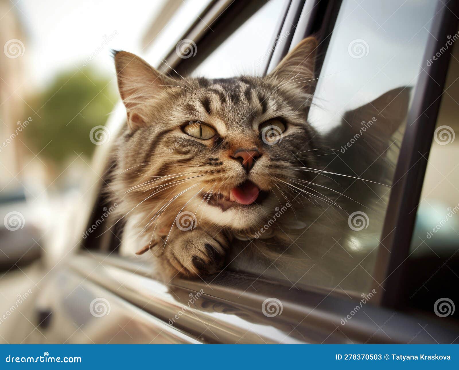 Happy Cat with Head Out of the Car Window Stock Illustration ...