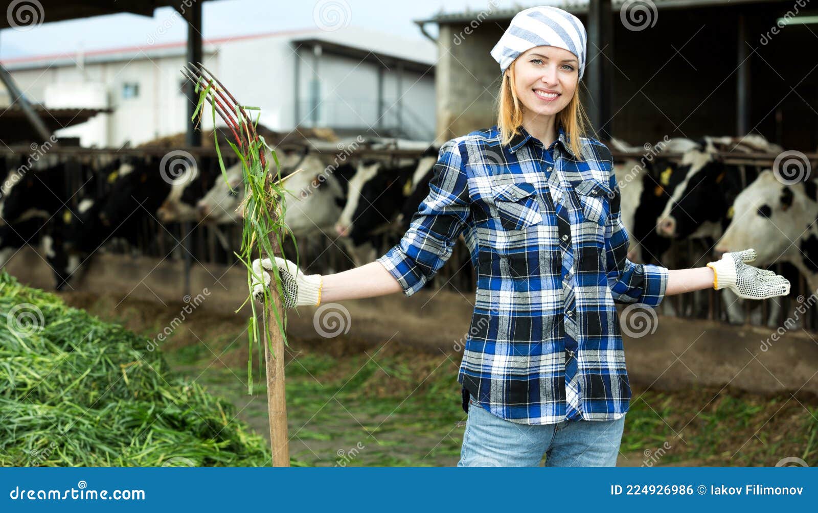 Young Cattle-farm Worker Preparing Grass Stock Photo - Image of people ...