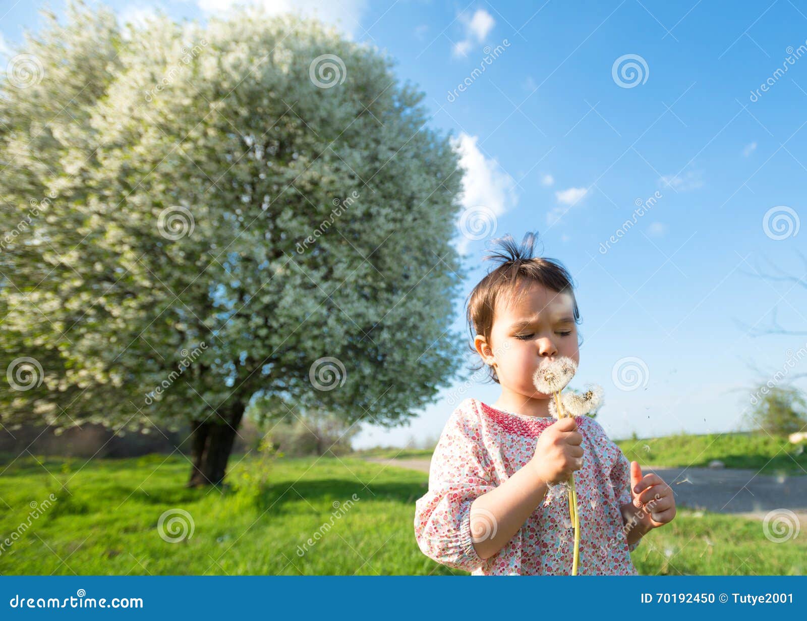 Happy Child Blowing Dandelion Outdoors in Spring Stock Photo - Image of ...