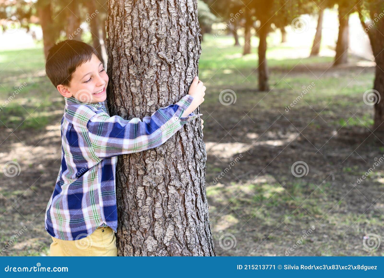Happy Child Hugging a Tree Trunk in a Forest Stock Image - Image of ...