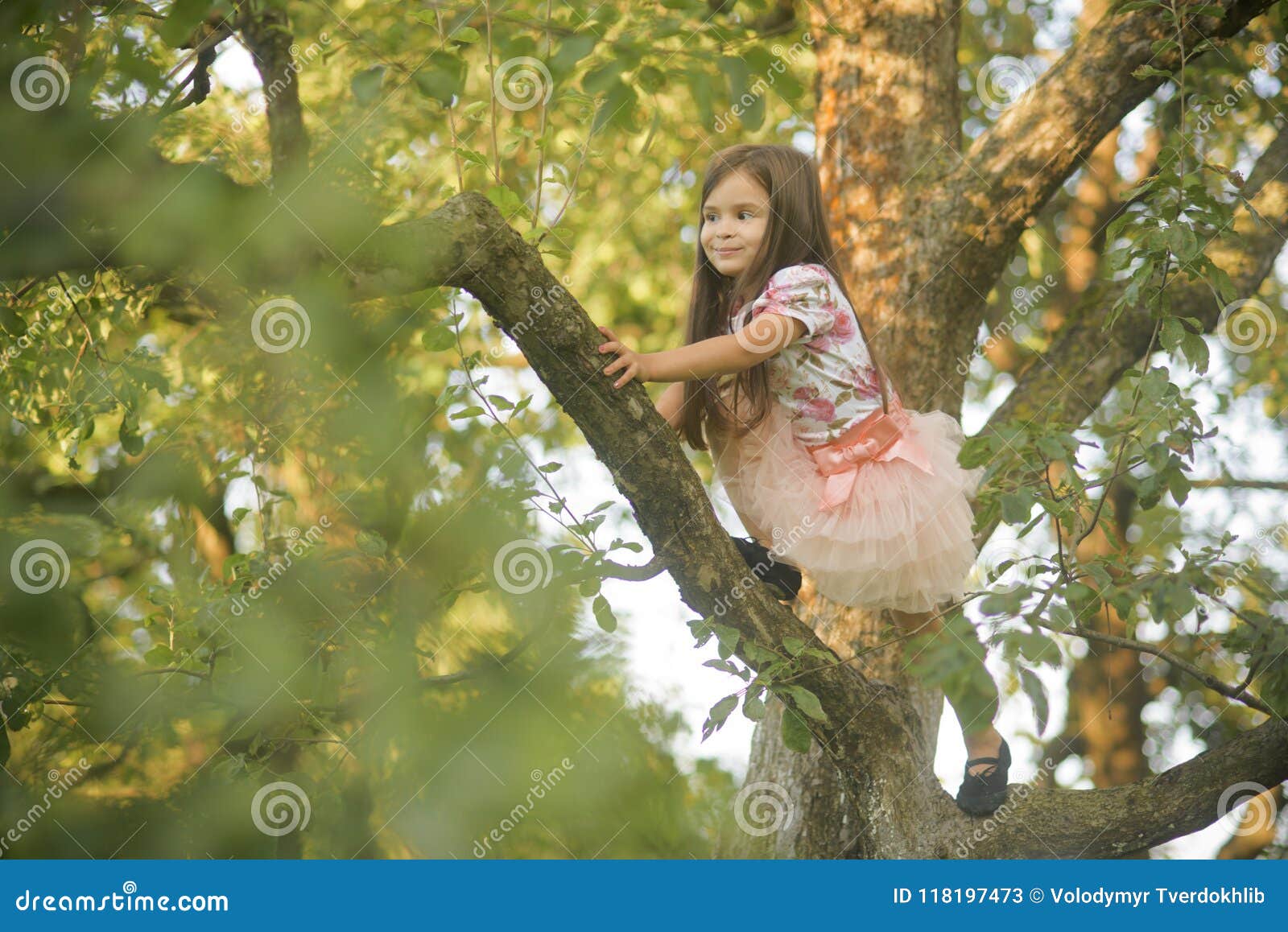 Happy Child Play in Garden on Tree Stock Image - Image of happy, forest ...
