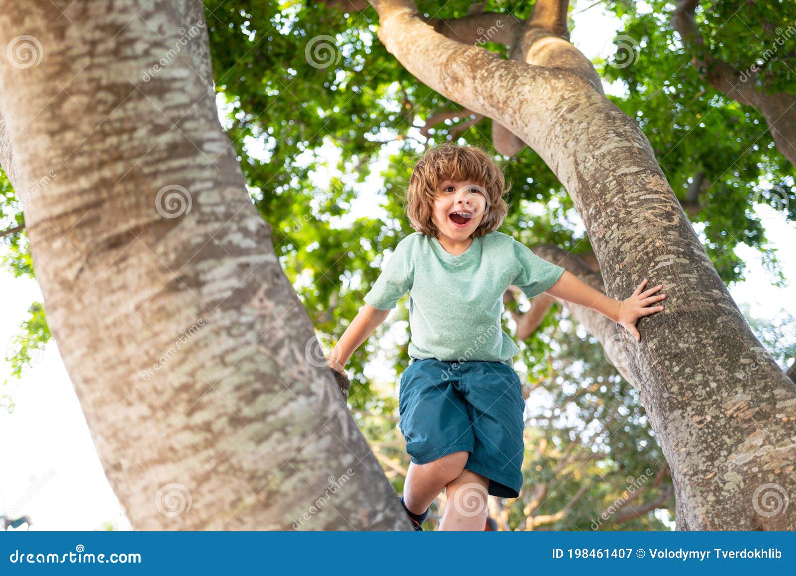 Happy Child Sitting High Up in a Tree. Stock Image - Image of high ...