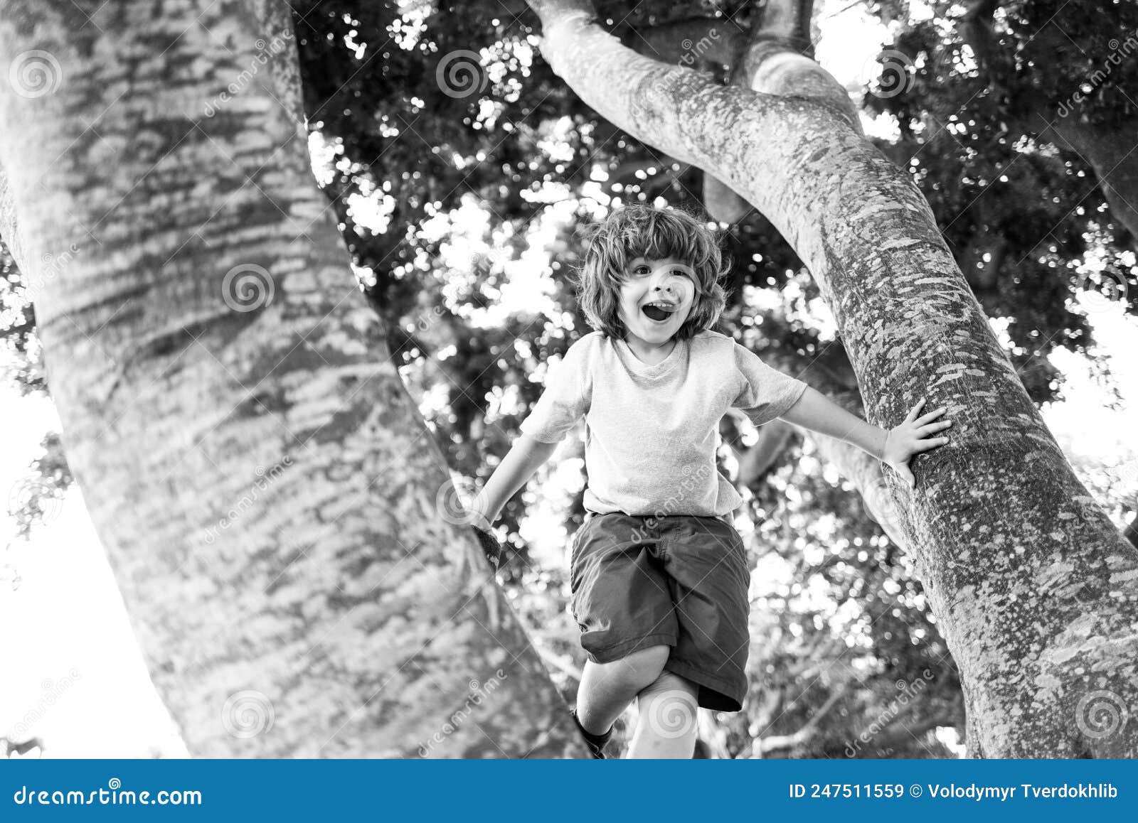 Happy Child Sitting High Up in a Tree. Stock Image - Image of high ...