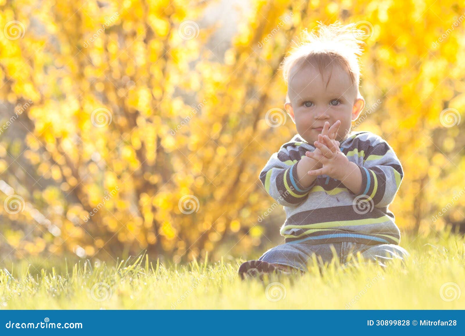 Happy Child in Sun Back Light Stock Photo - Image of nature, face: 30899828