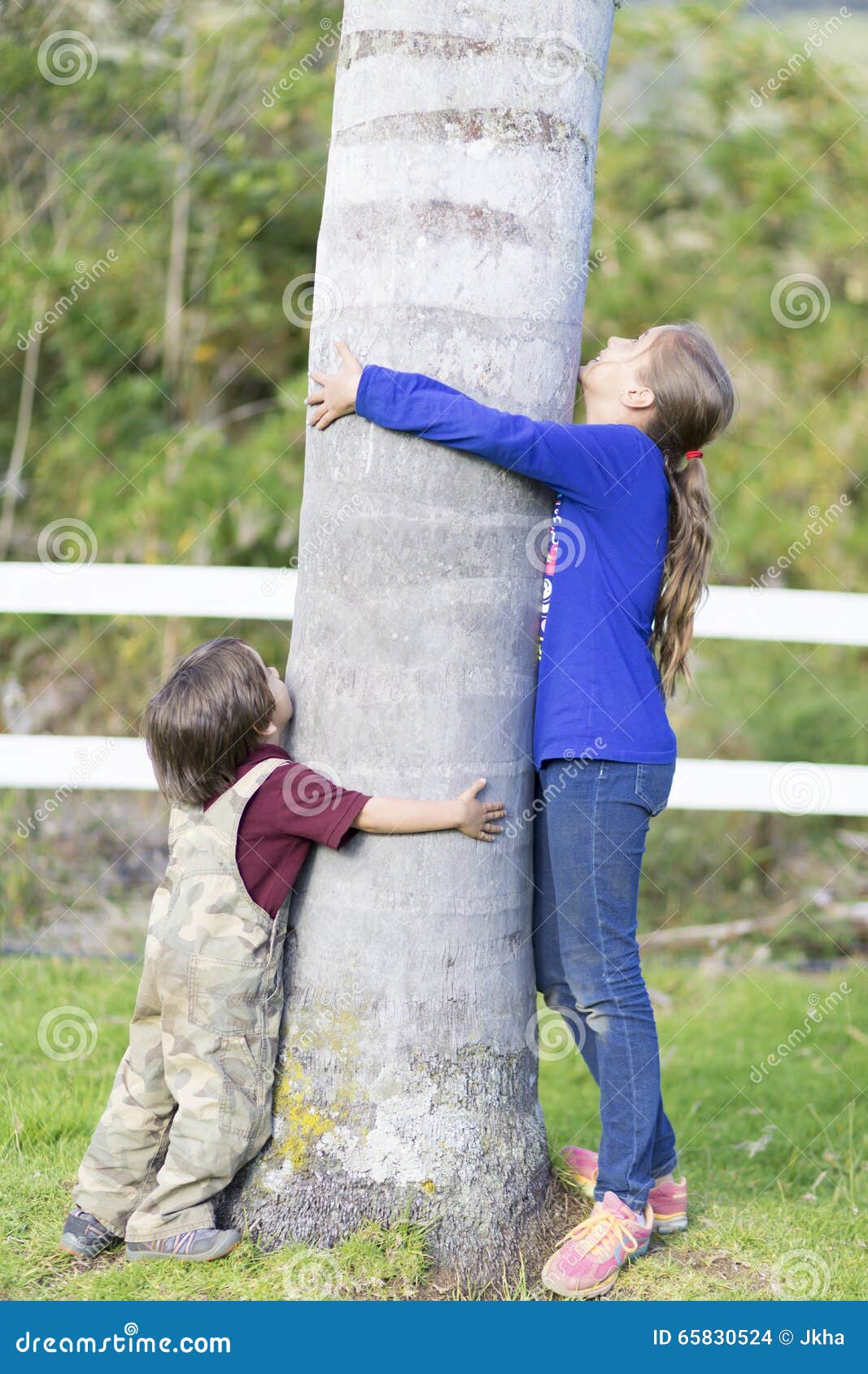 Happy Children Hugging a Tree Stock Photo - Image of american, forest ...