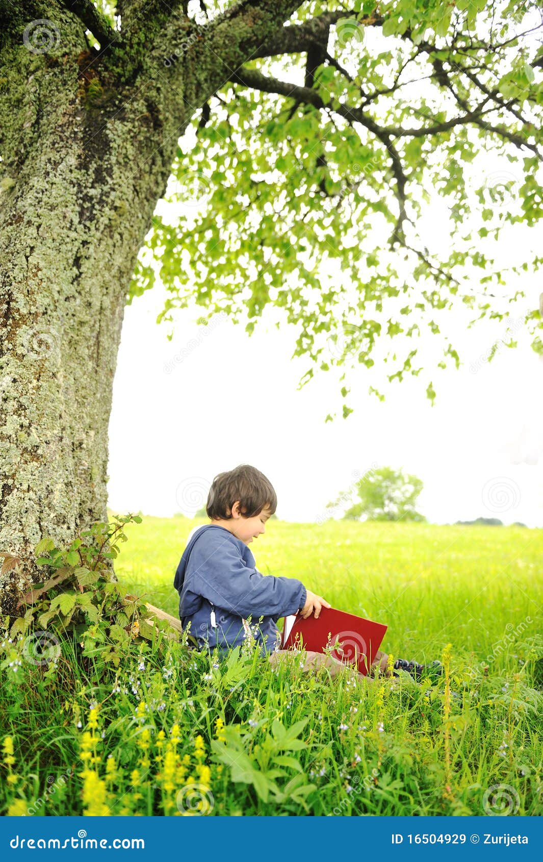 Happy Children Reading the Book Stock Image - Image of relaxation ...