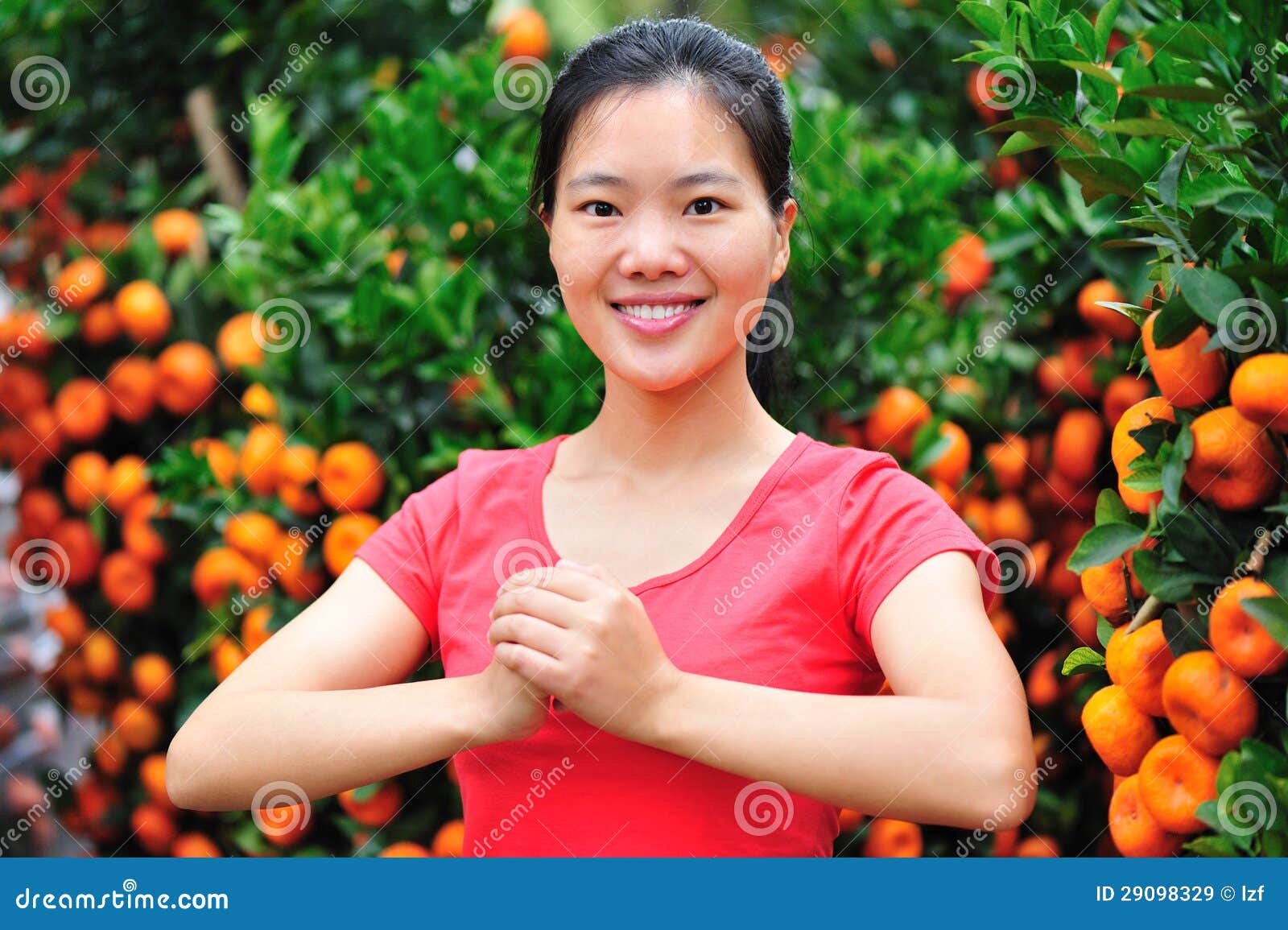 Happy chinese new year stock image. Image of green, fruit - 29098329
