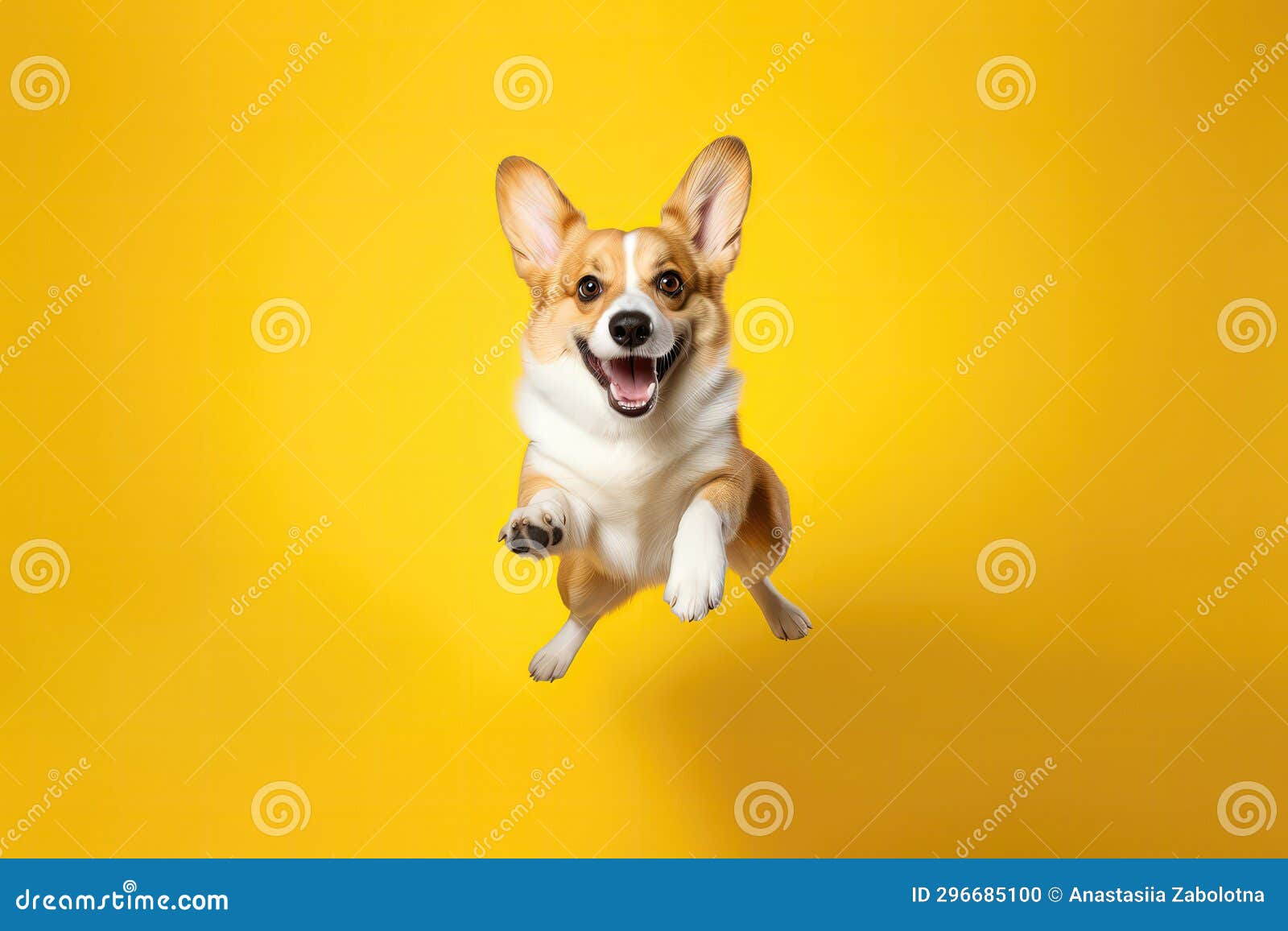 Happy Corgi Dog in Jumping, in Flight on Yellow Background. Generative ...