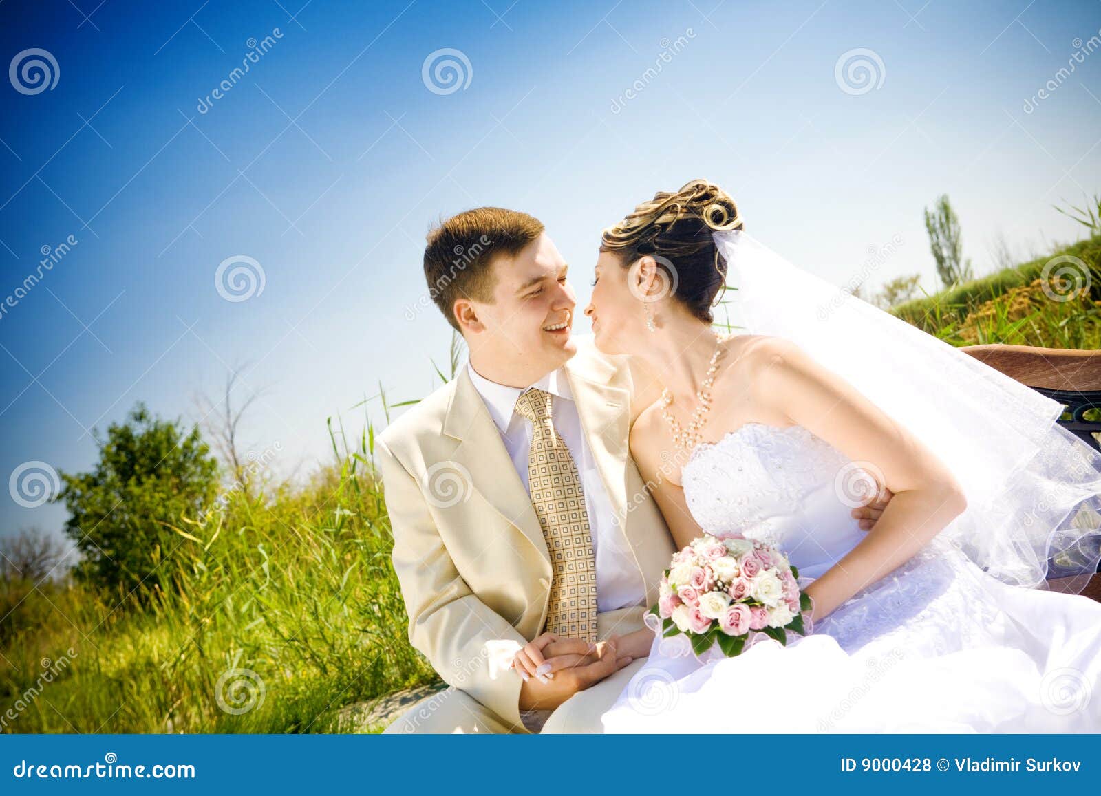 Happy couple stock photo. Image of holiday, couple, marriage - 9000428