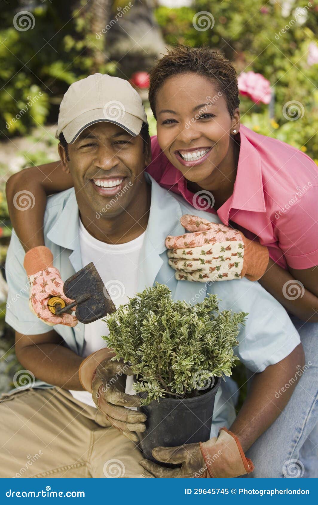 Happy Couple Gardening Together Stock Image - Image of growth, growing ...