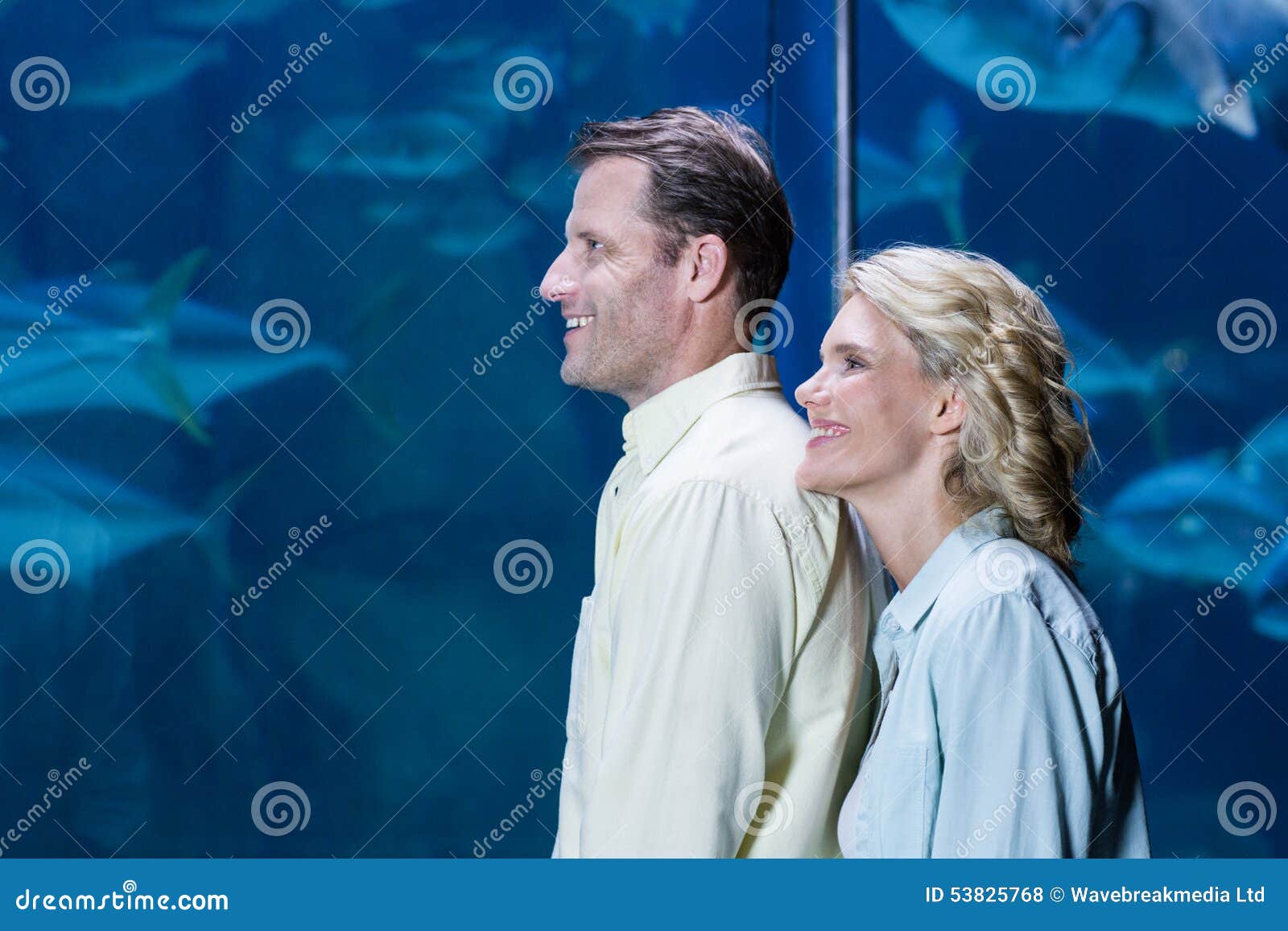 Happy Couple Looking at Fish Tank Stock Photo - Image of biology ...